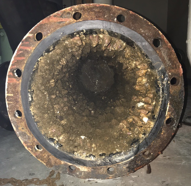 Biological Water Treatment | Drew Marine